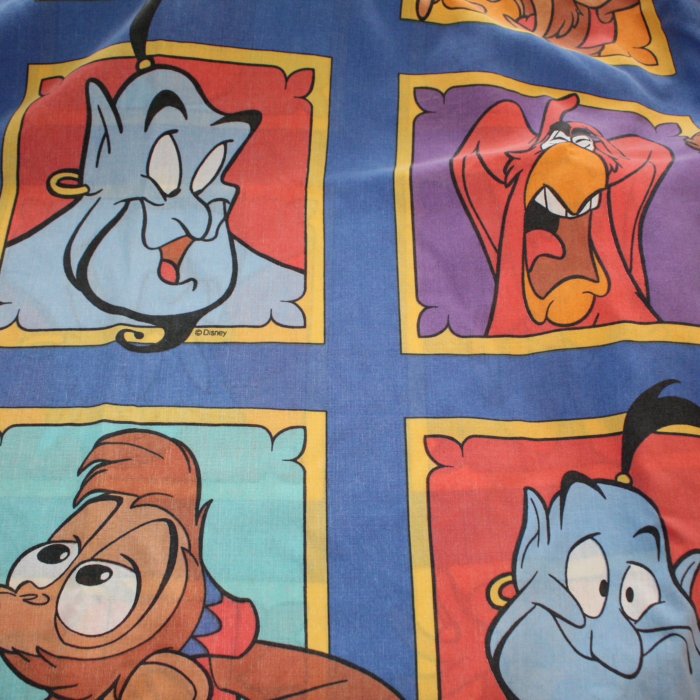 Disney Aladdin Iago