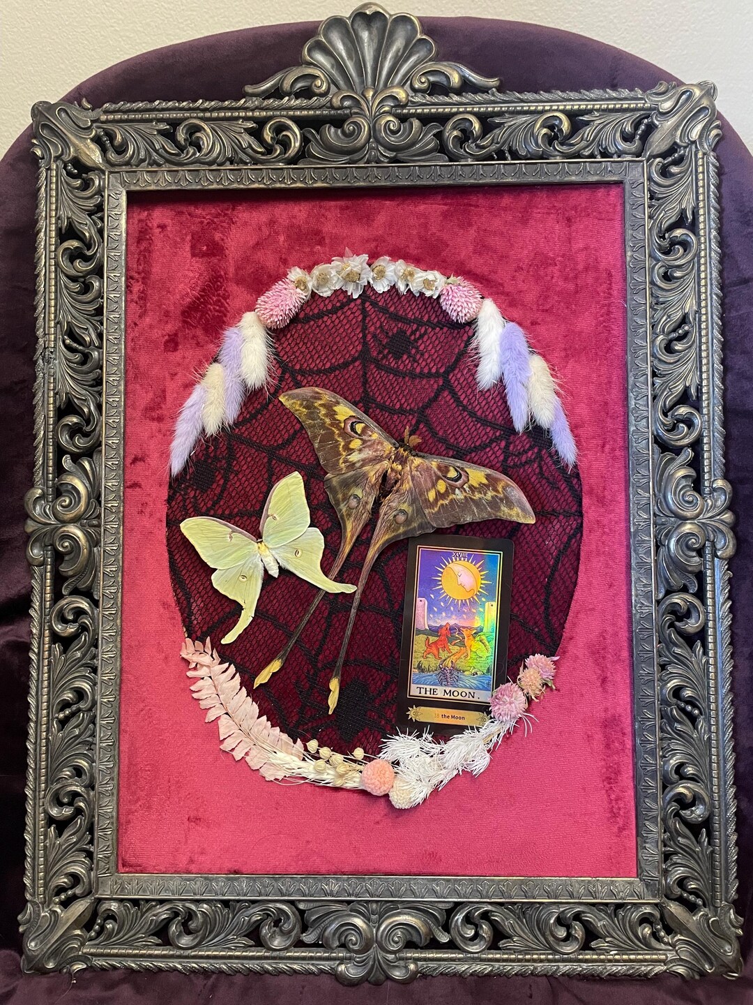 The Moon- Moth Tarot Large Vintage Frame - Etsy