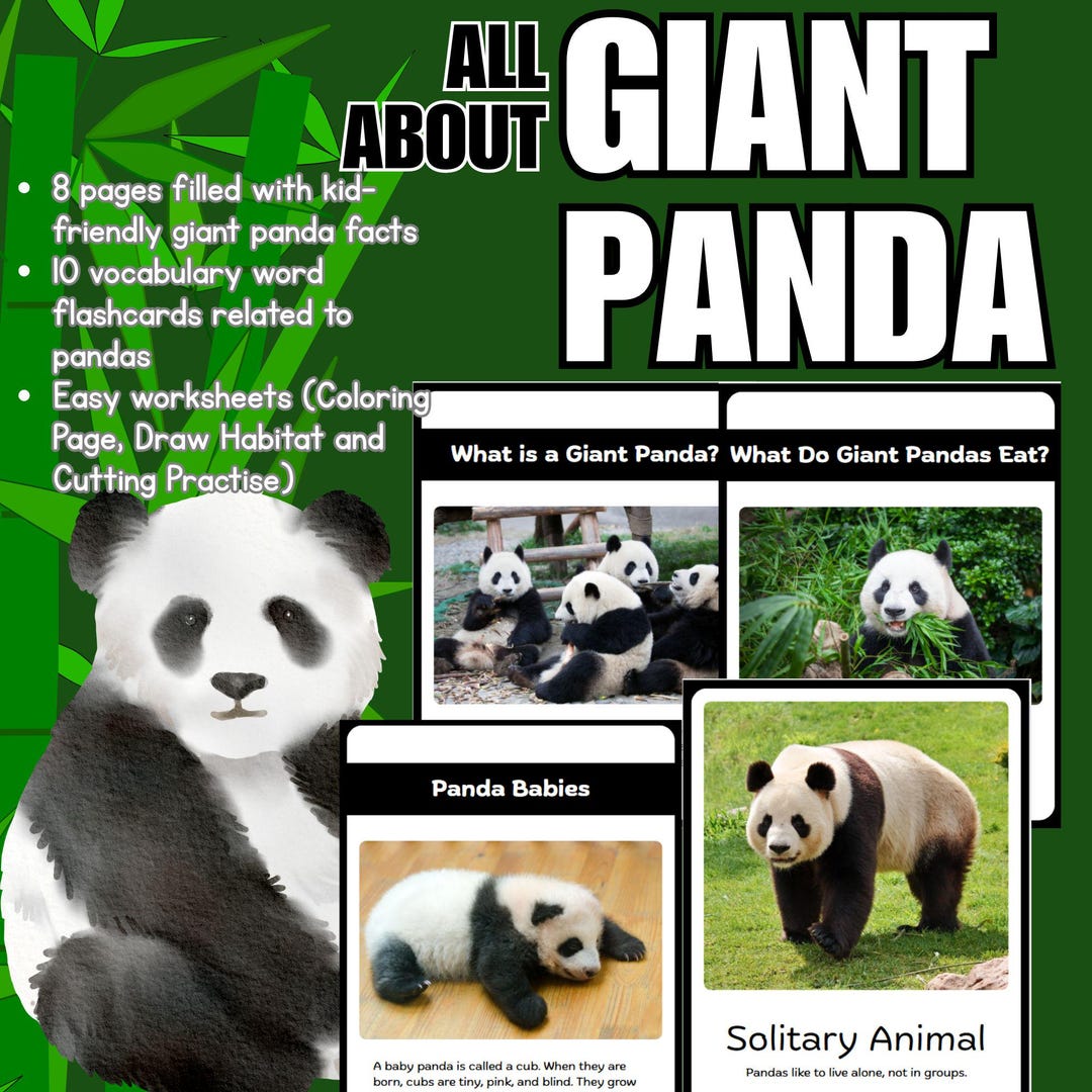 All About Giant Panda for Kids | 8 Pages of Panda Facts + 10 Words ...