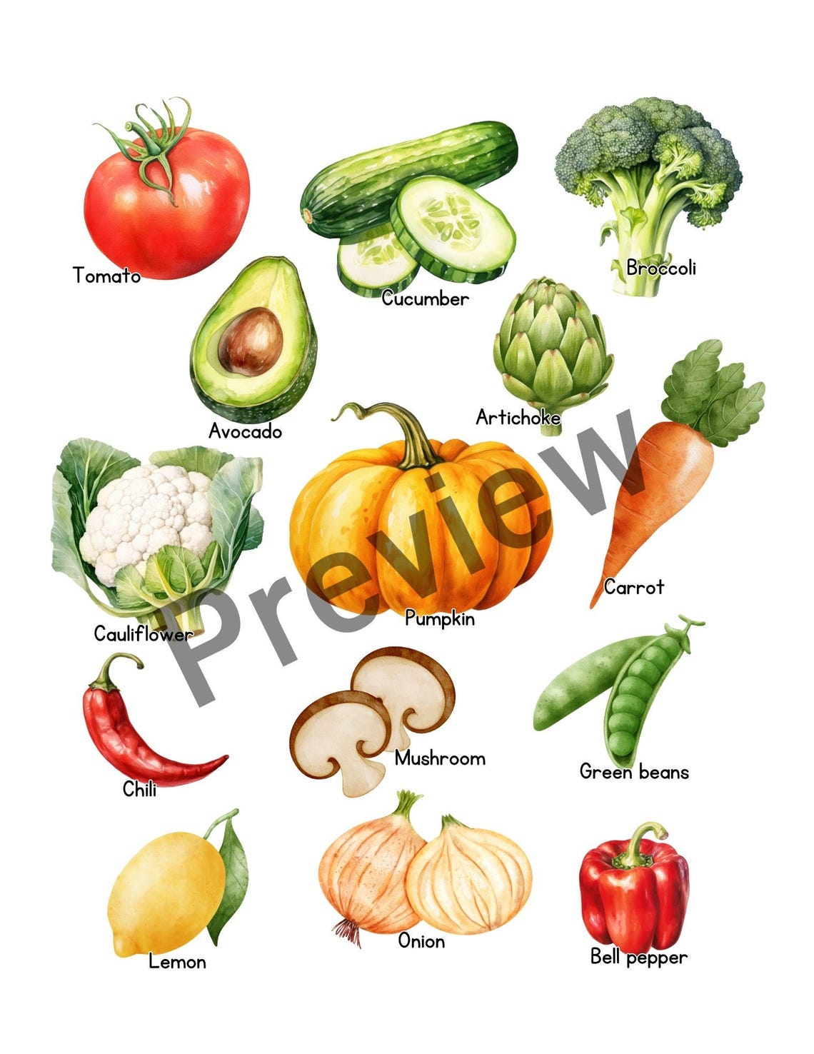 All About Tomatoes for Kids, Tomato Life Cycle, Worksheets - Etsy