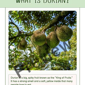 All About Durian for Kids, Durian Life Cycle, Fun Facts and Worksheets ...
