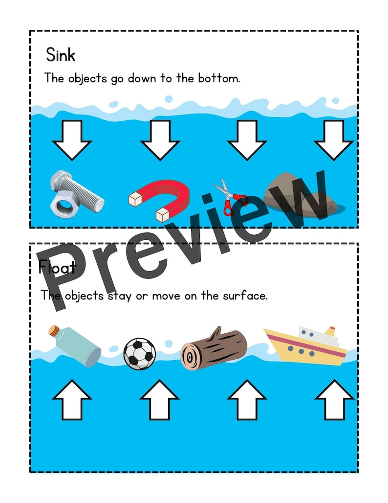Sink or Float Science Experiment, Fun Activity With Worksheets - Etsy