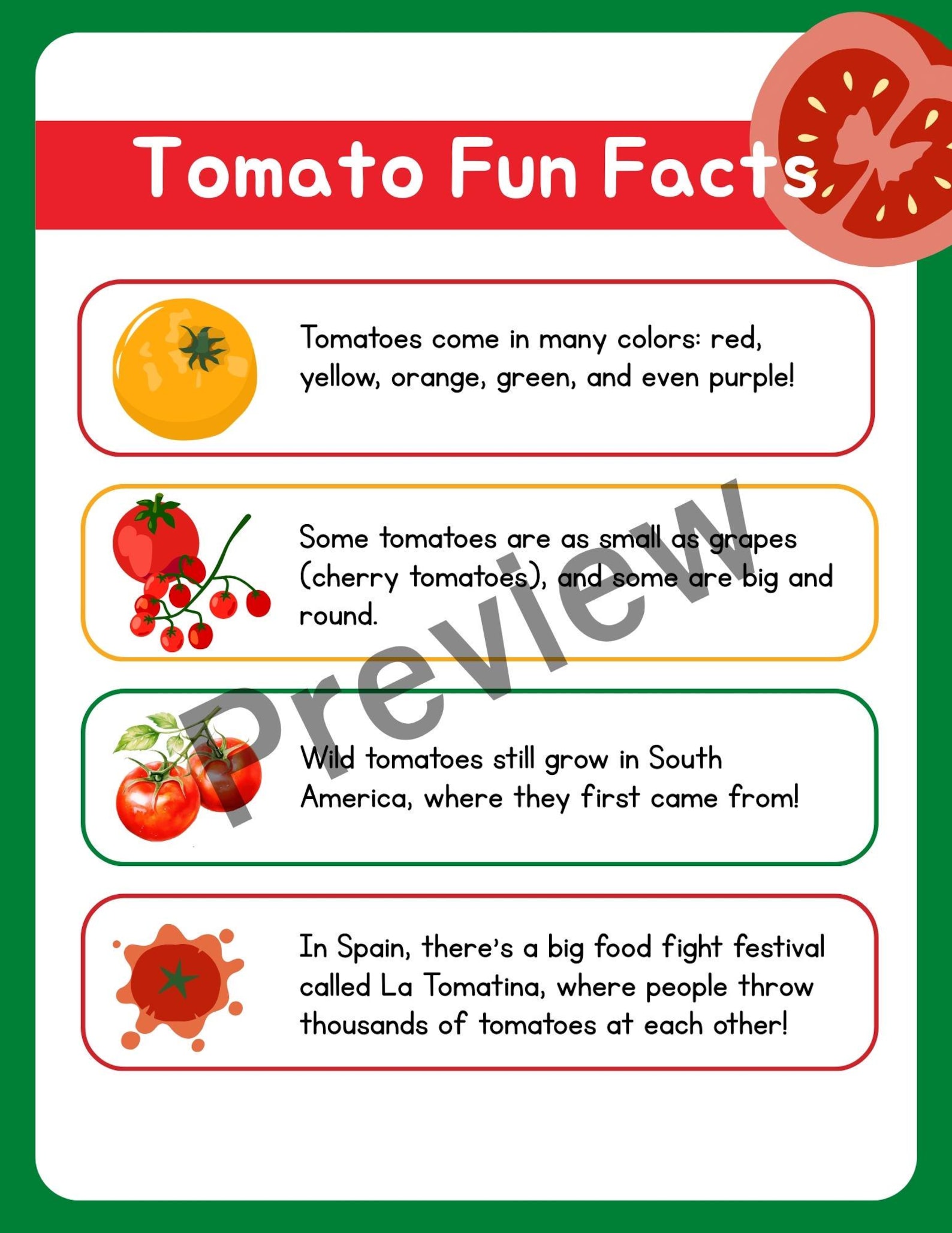 All About Tomatoes for Kids, Tomato Life Cycle, Worksheets - Etsy