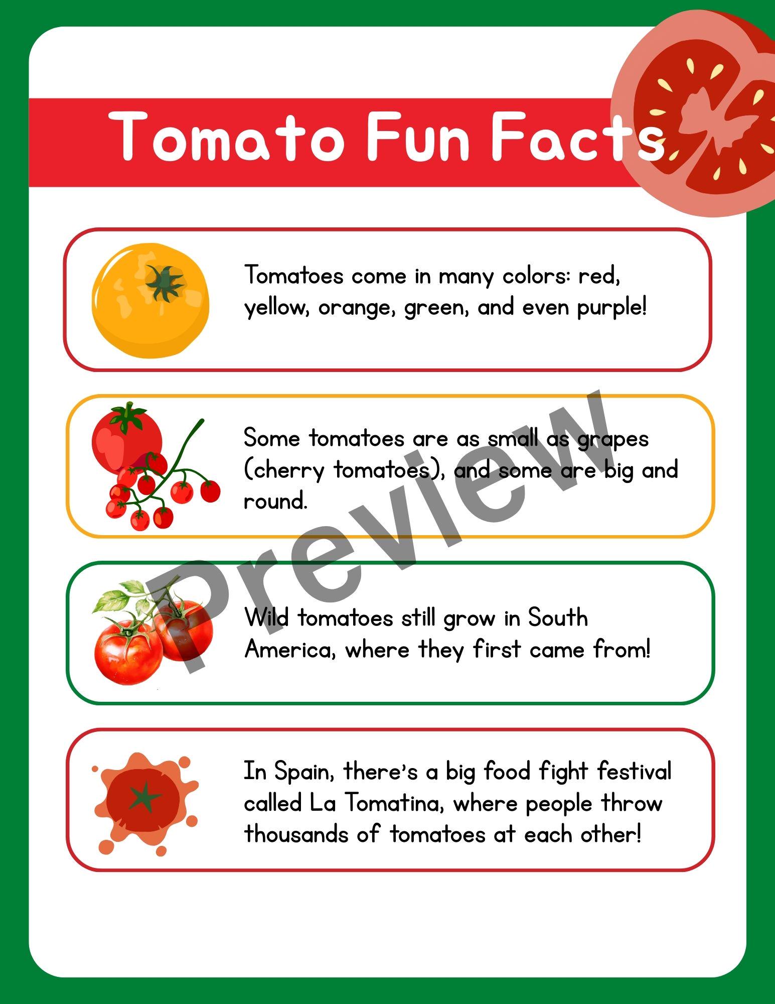 All About Tomatoes for Kids, Tomato Life Cycle, Worksheets - Etsy