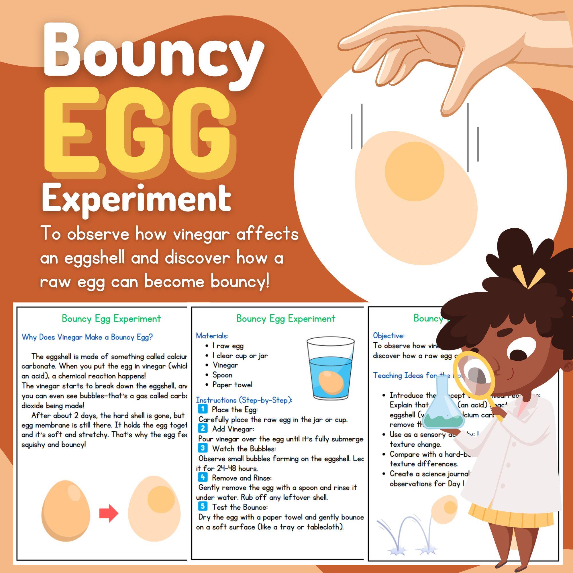 Bouncy Egg Science Experiment for Kids - Etsy