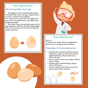 Bouncy Egg Science Experiment for Kids - Etsy
