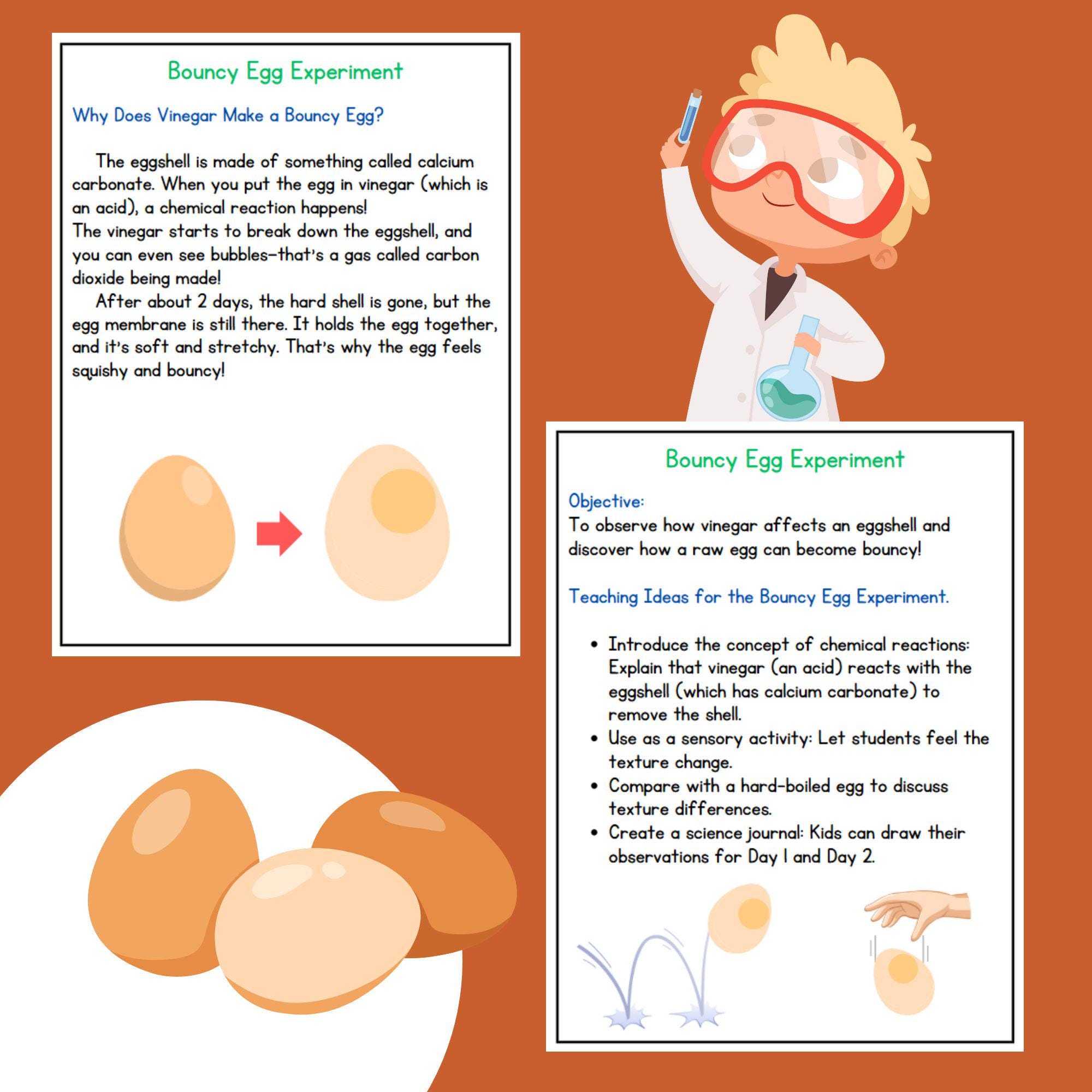 Bouncy Egg Science Experiment for Kids - Etsy