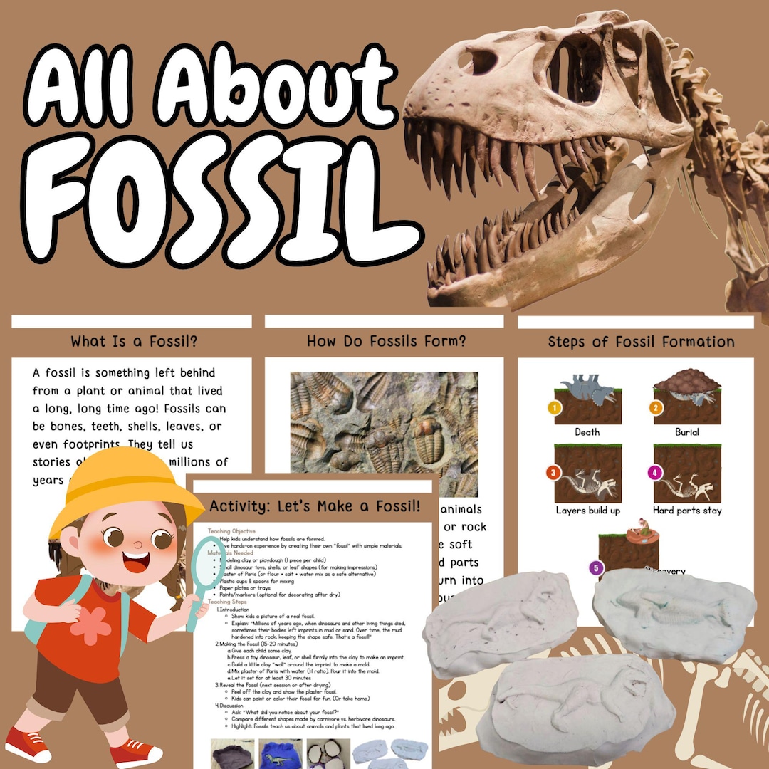 All About Fossils for Kids | Earth Science Activities - Etsy