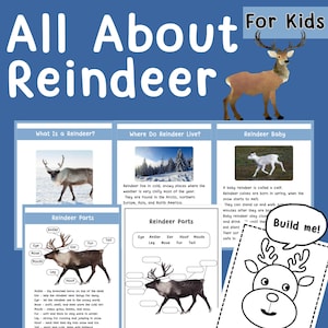 All About Reindeer for Kids | Winter & Christmas Animal Facts and ...