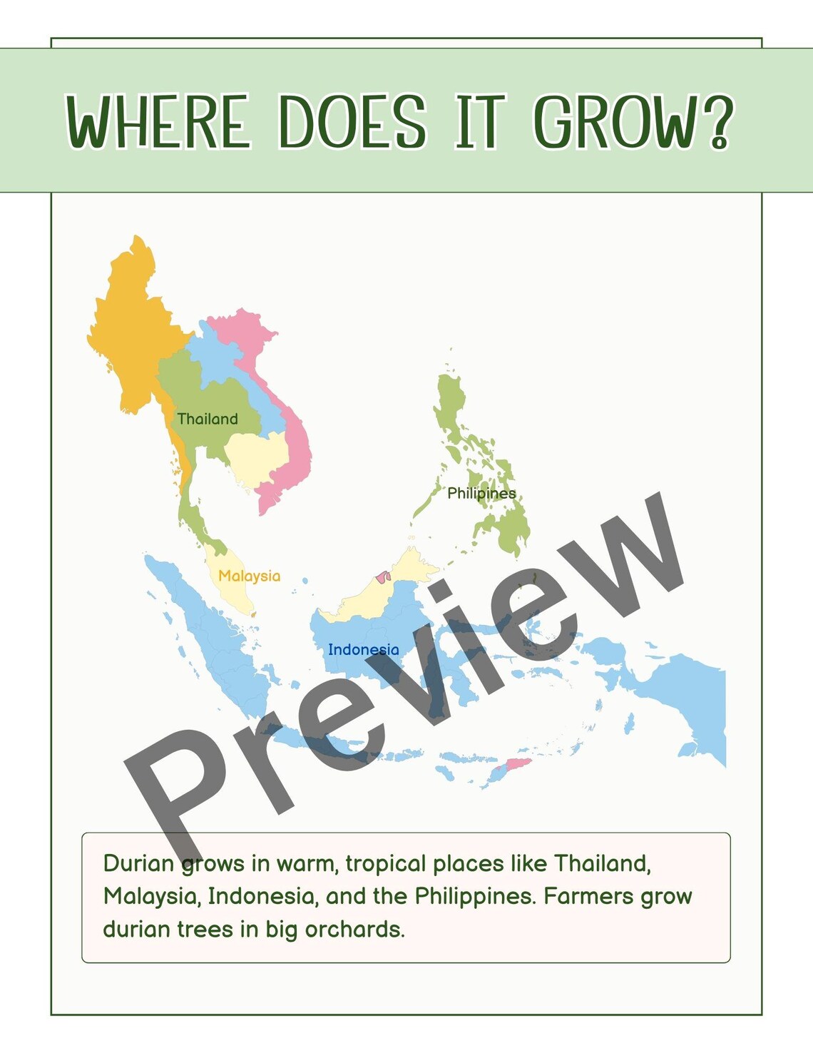 All About Durian for Kids, Durian Life Cycle, Fun Facts and Worksheets ...