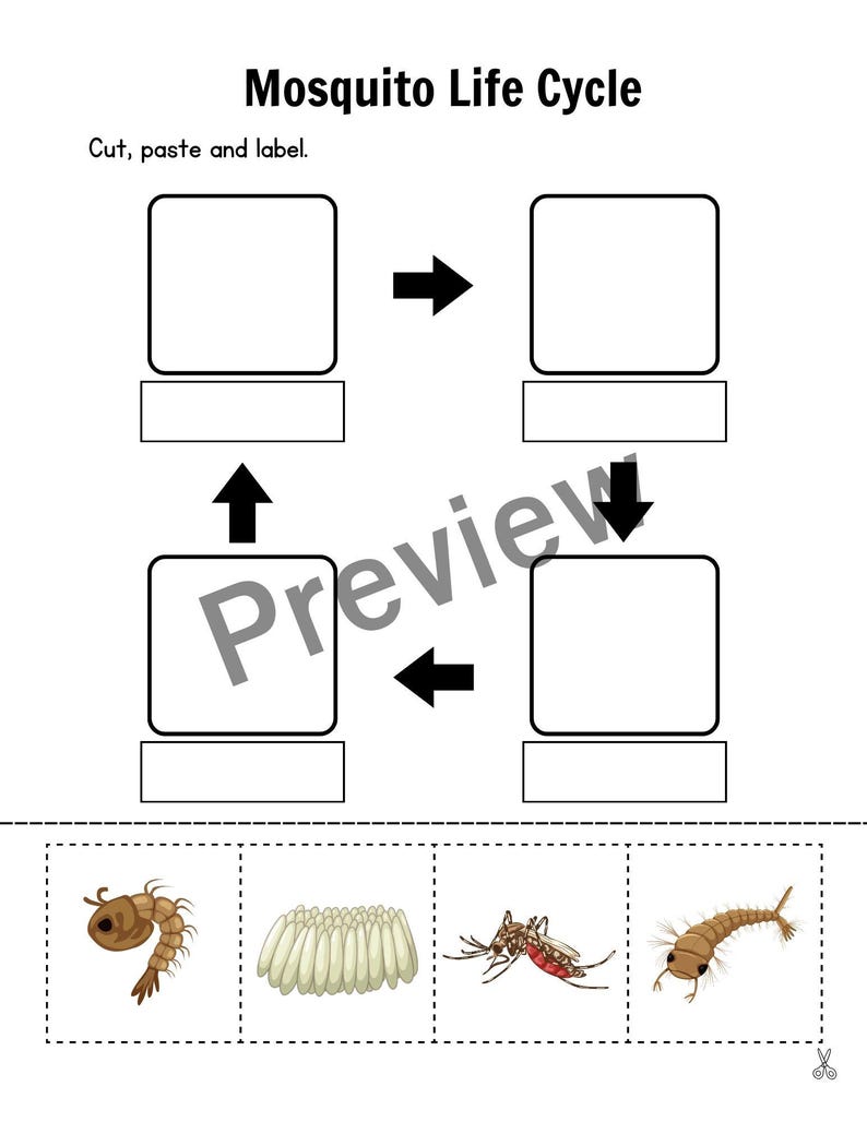 Mosquito Unit for Kids | Life Cycle and Activities - Etsy