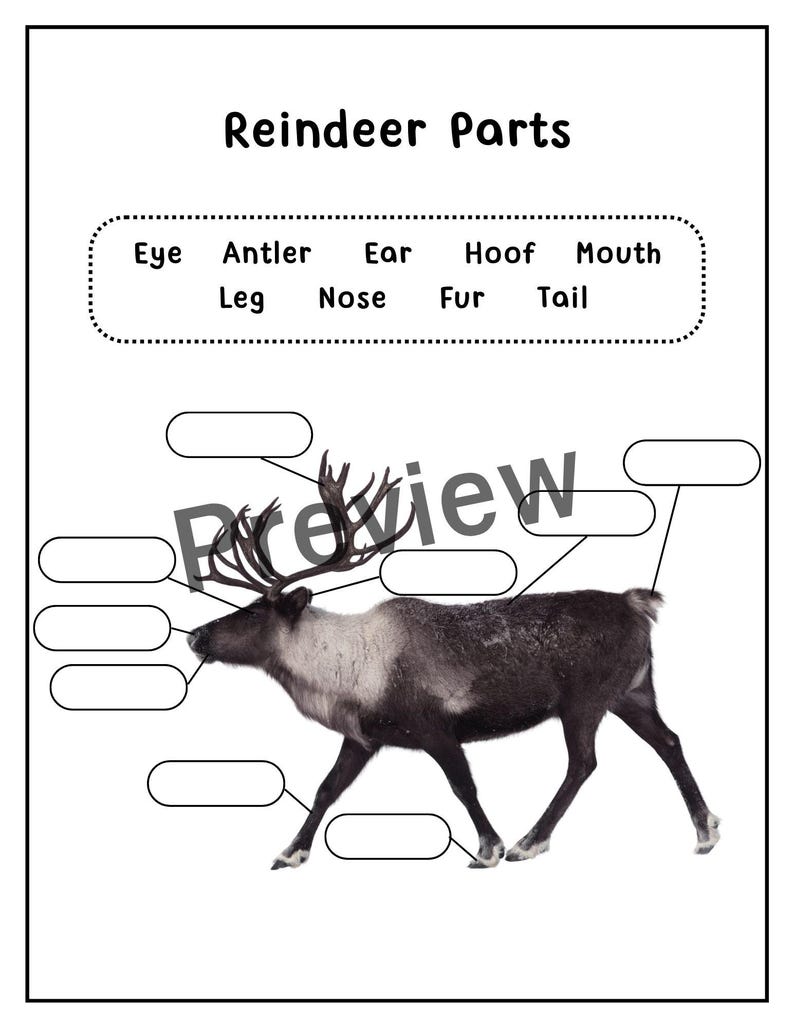 All About Reindeer for Kids | Winter & Christmas Animal Facts and ...