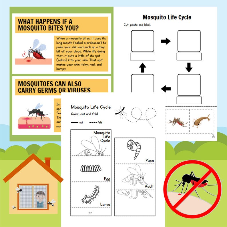 Mosquito Unit for Kids | Life Cycle and Activities - Etsy