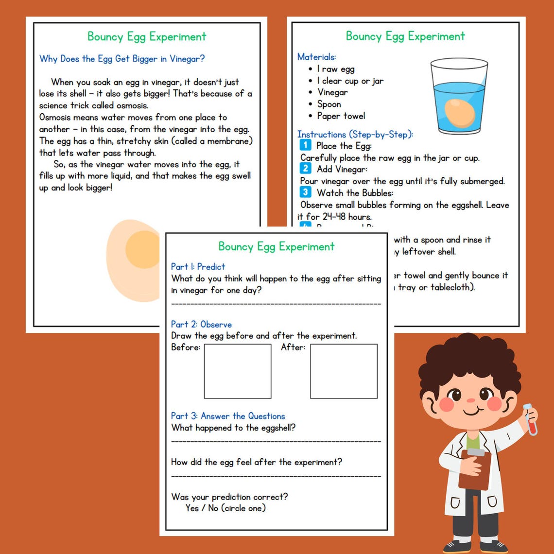 Bouncy Egg Science Experiment for Kids - Etsy