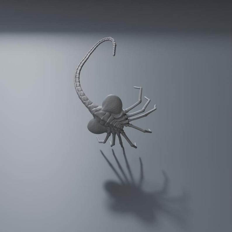 Xenomorph Alien Facehugger Bundle - Etsy