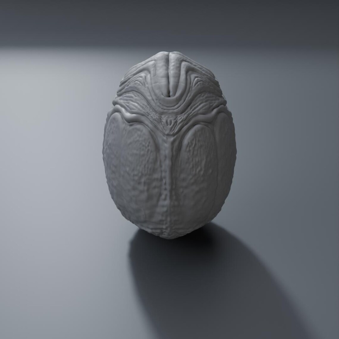 Xenomorph Alien Egg (ovomorph) Bundle V01 - Etsy