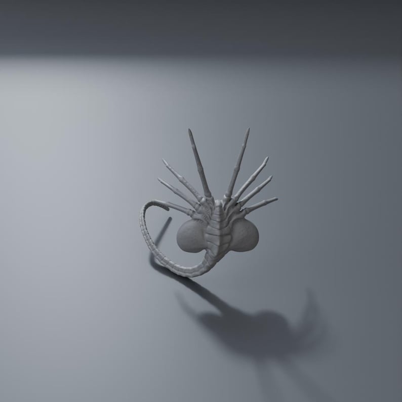 Xenomorph Alien Facehugger Bundle - Etsy