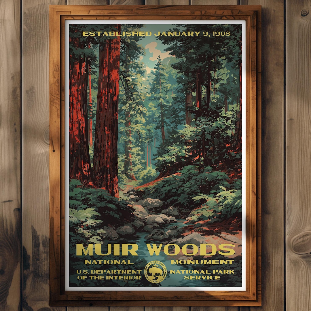 Muir Woods National Monument Poster, California Redwoods Wall Art Print ...