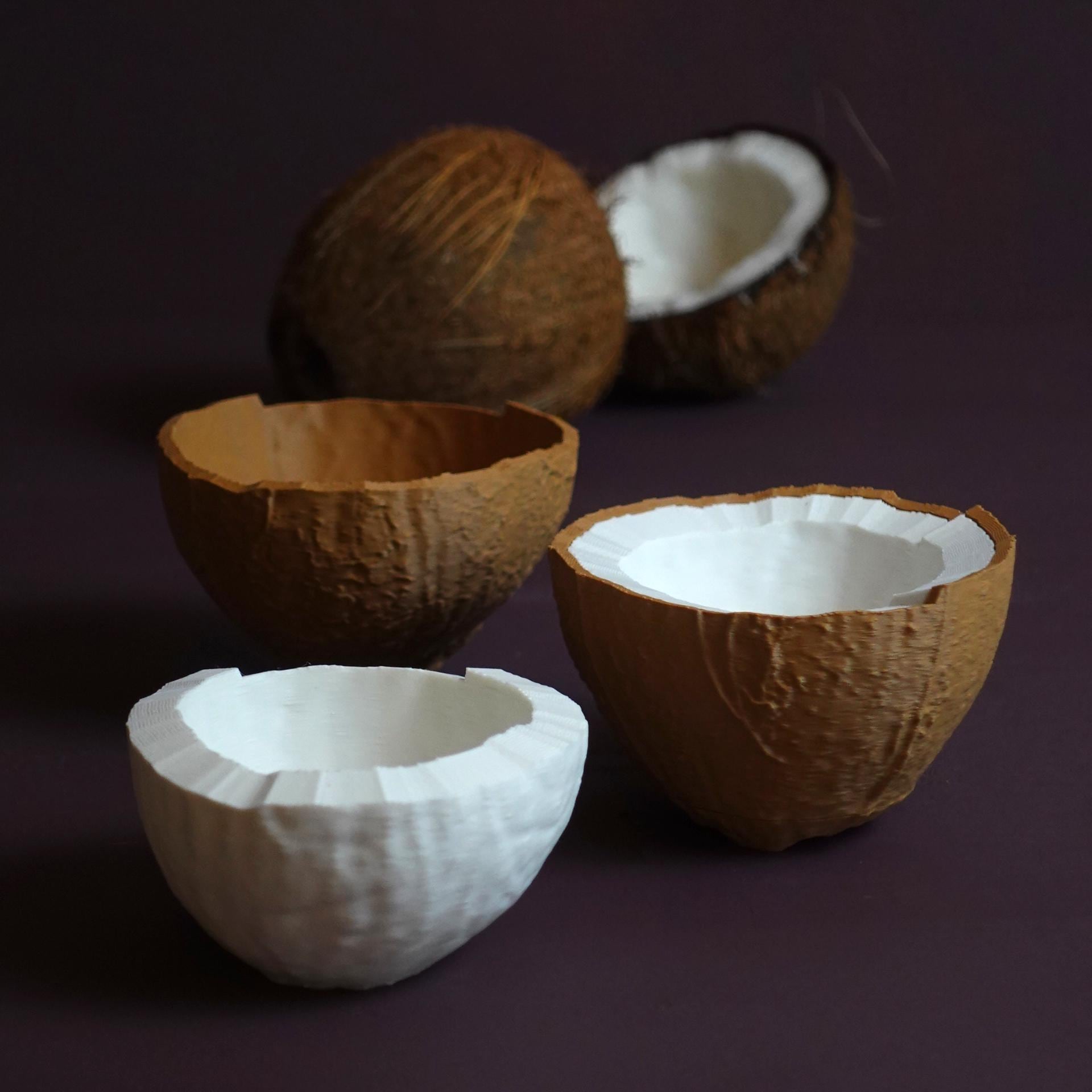 Realistic Coconut Bowls Functional, Customizable and Space-saving - Etsy