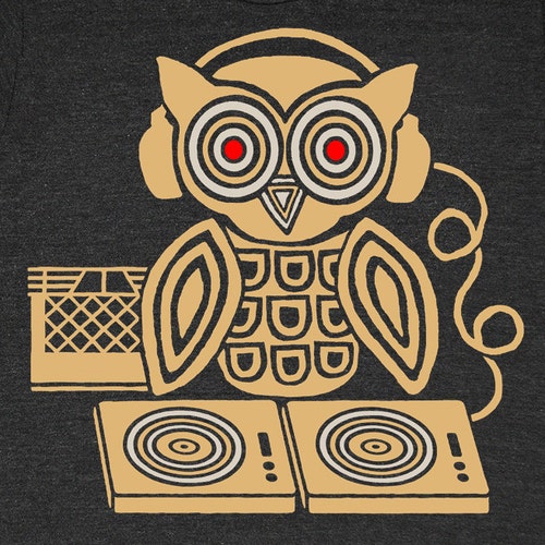DJ Owl Womens T-shirt Girls Tee Shirt Turntable Music Bird - Etsy