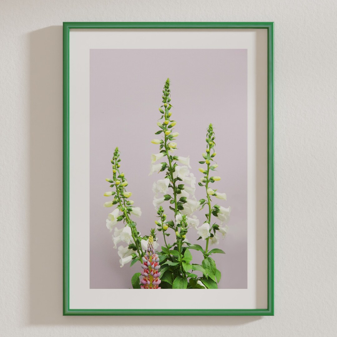 Foxgloves Floral Digital Print, Foxglove Flower Digital Print, Home ...