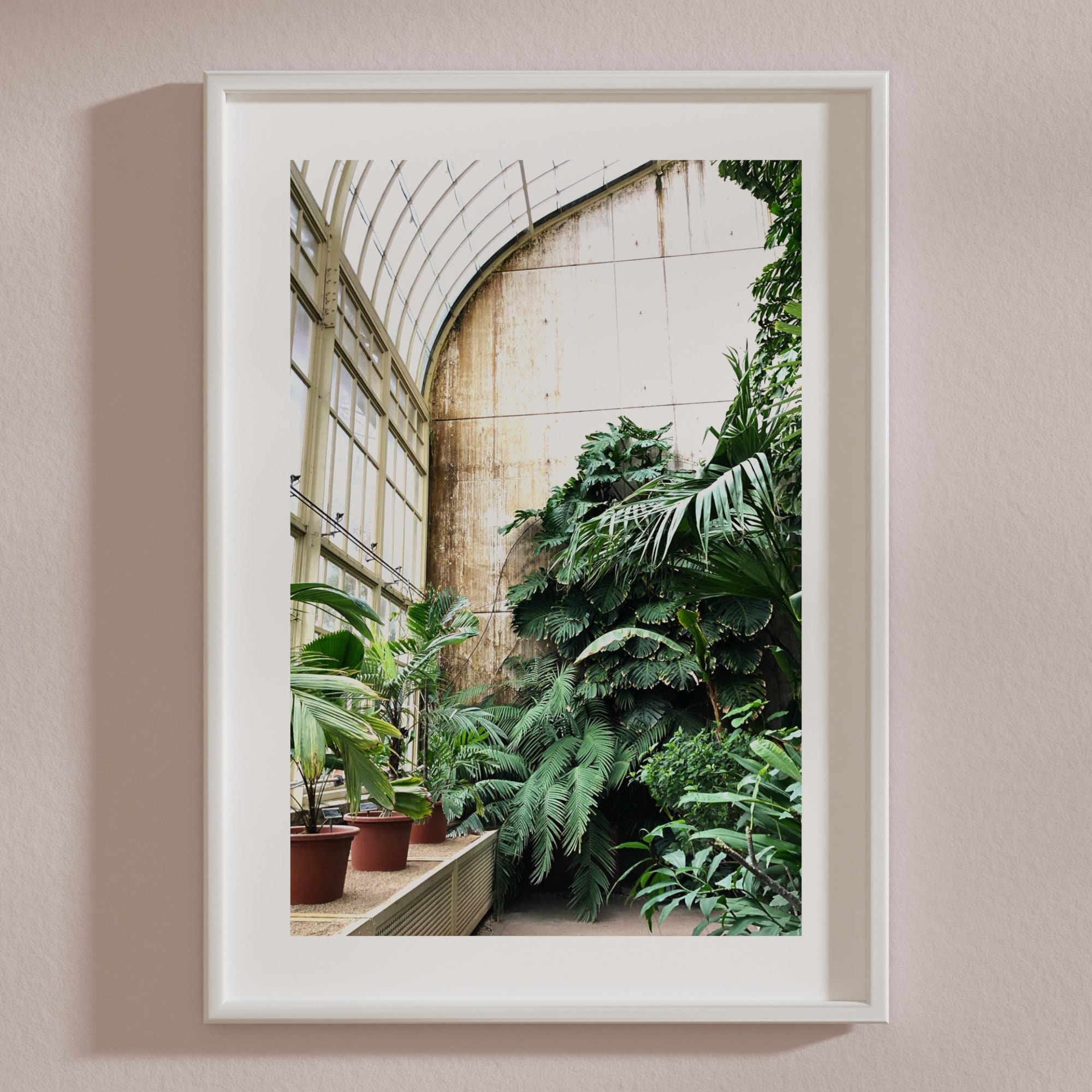 Greenhouse Photography Print, Greenhouse Digital Art, Greenhouse ...