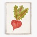 Beets Watercolor Wall Art Print - Etsy