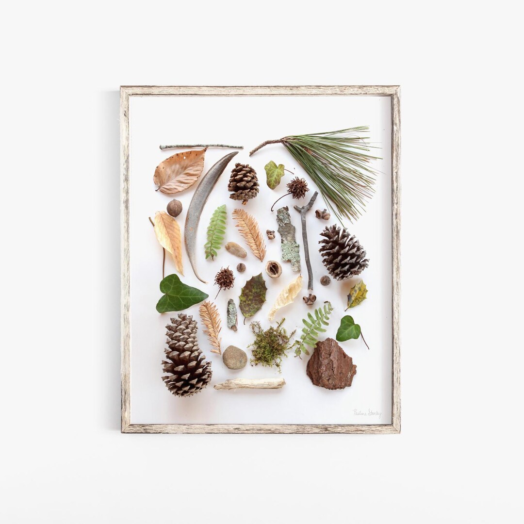 Nature Walk Photography Wall Art Print | Modern Art | Minimalist Art ...