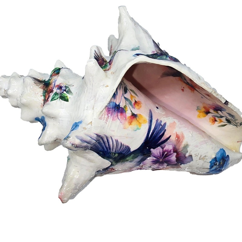 Decoupage Conch Shells - Etsy