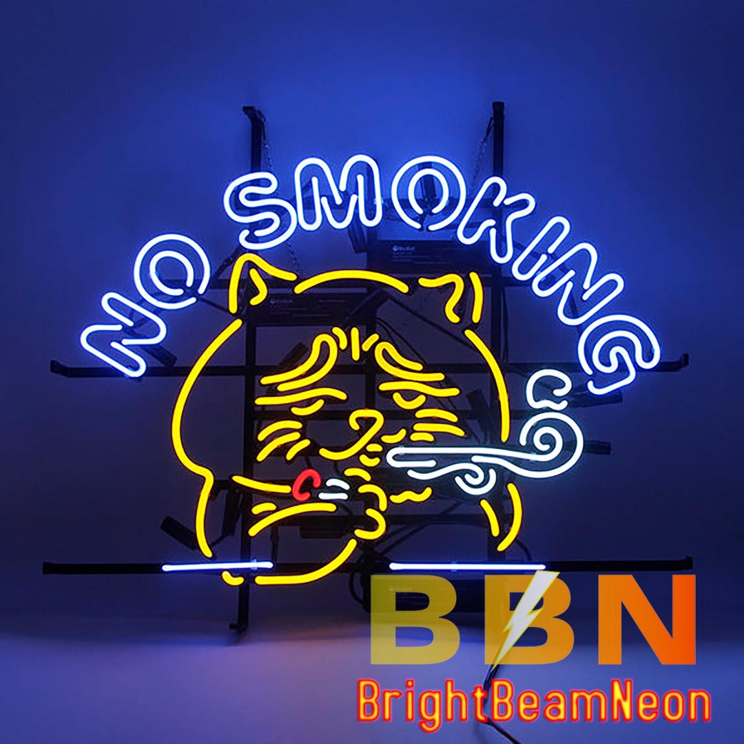 No Smoking Neon Sign Custom Handmade Real Glass Neon Japanese Garfield ...