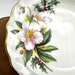 Duchess, Flower of the Month, December, Bone China Saucer Plate Ring ...