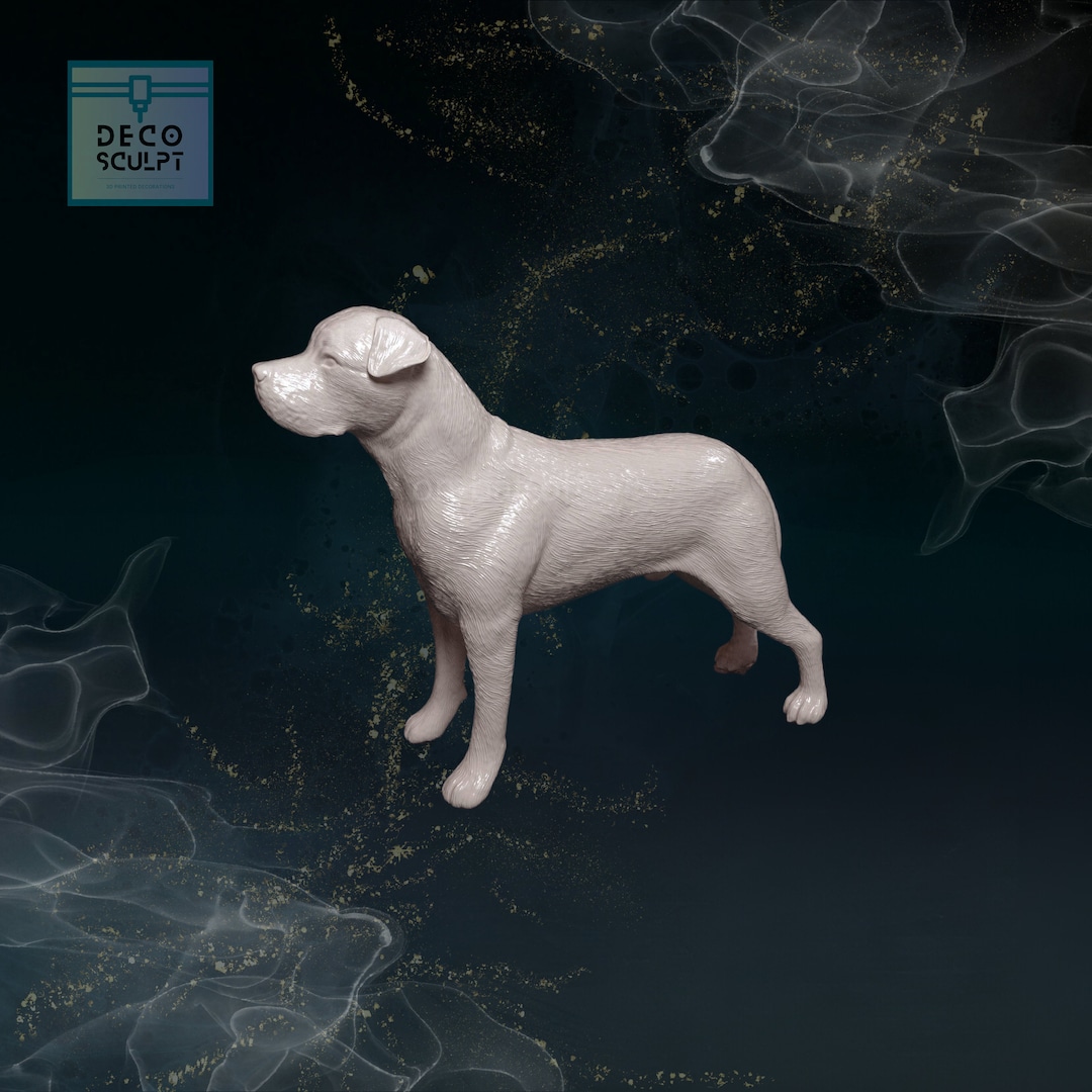 3D Cane Corso Art - Custom Realistic Cane Corso Figurine - Perfect Pet ...