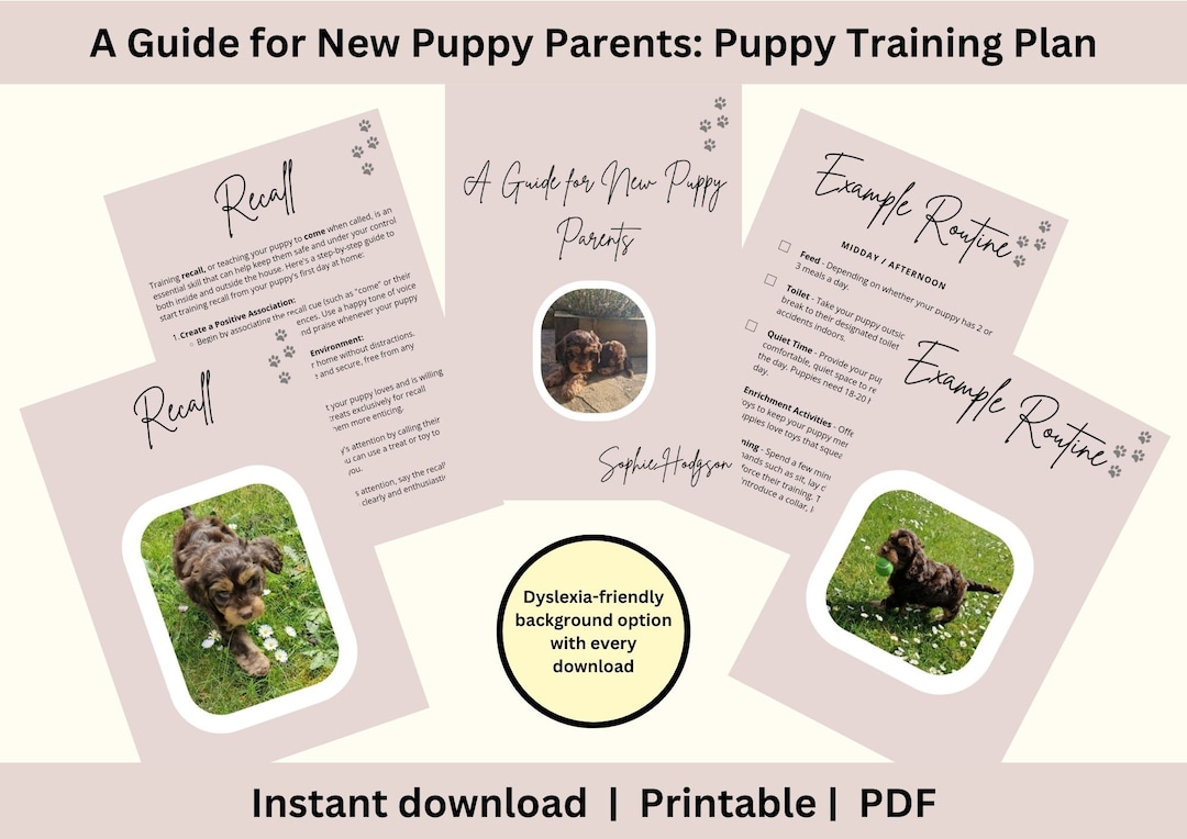 A Guide for New Puppy Parents: Puppy Training Plan - Commands, Routines ...