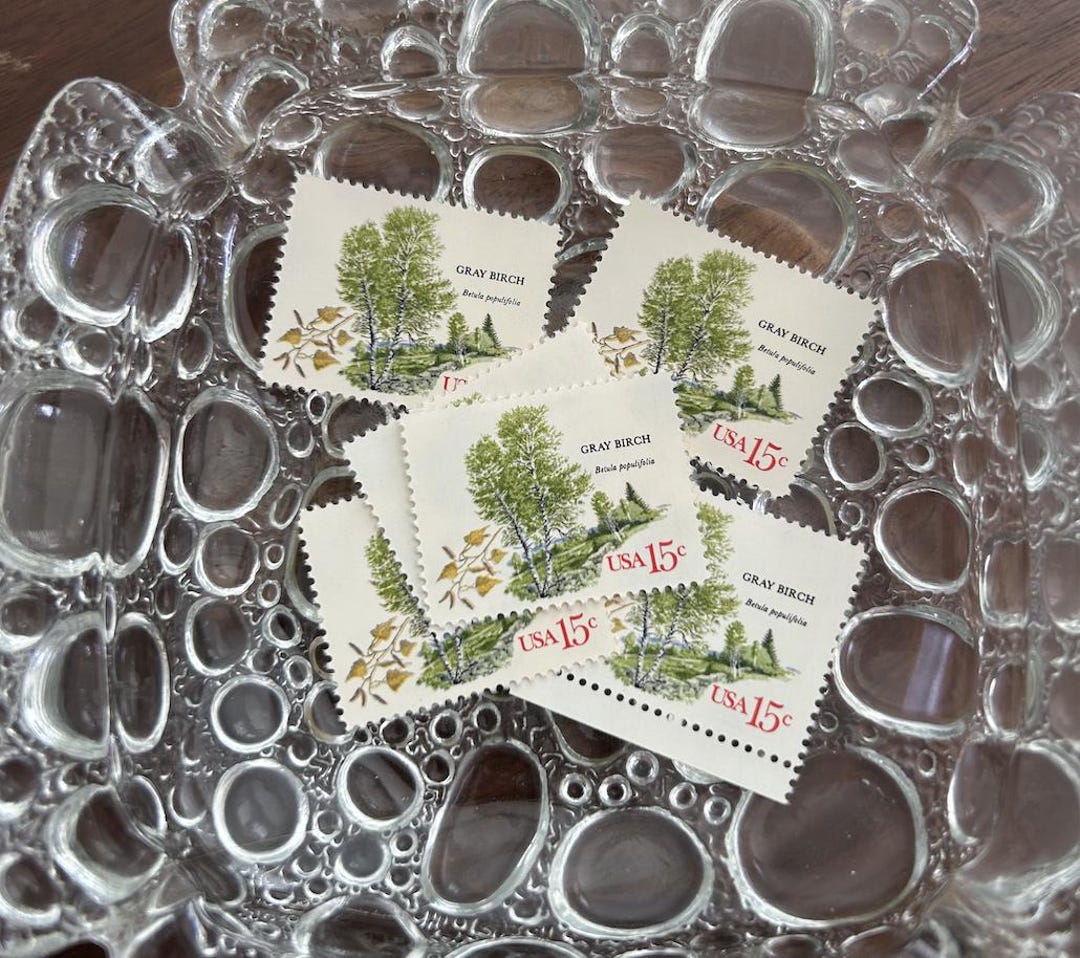 Gray Birch Tree Vintage Unused Postage Stamps// 15c American Trees ...