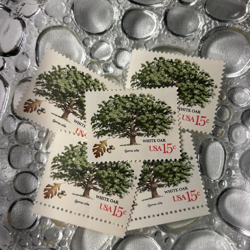 Oak Tree Dates - Etsy