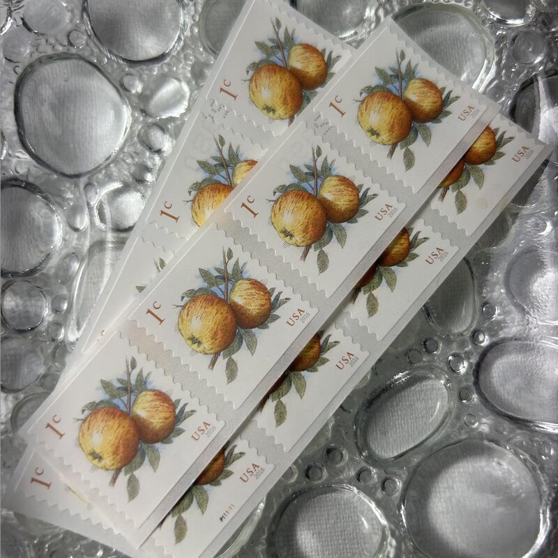 Fruit Rubber Stamp - Etsy