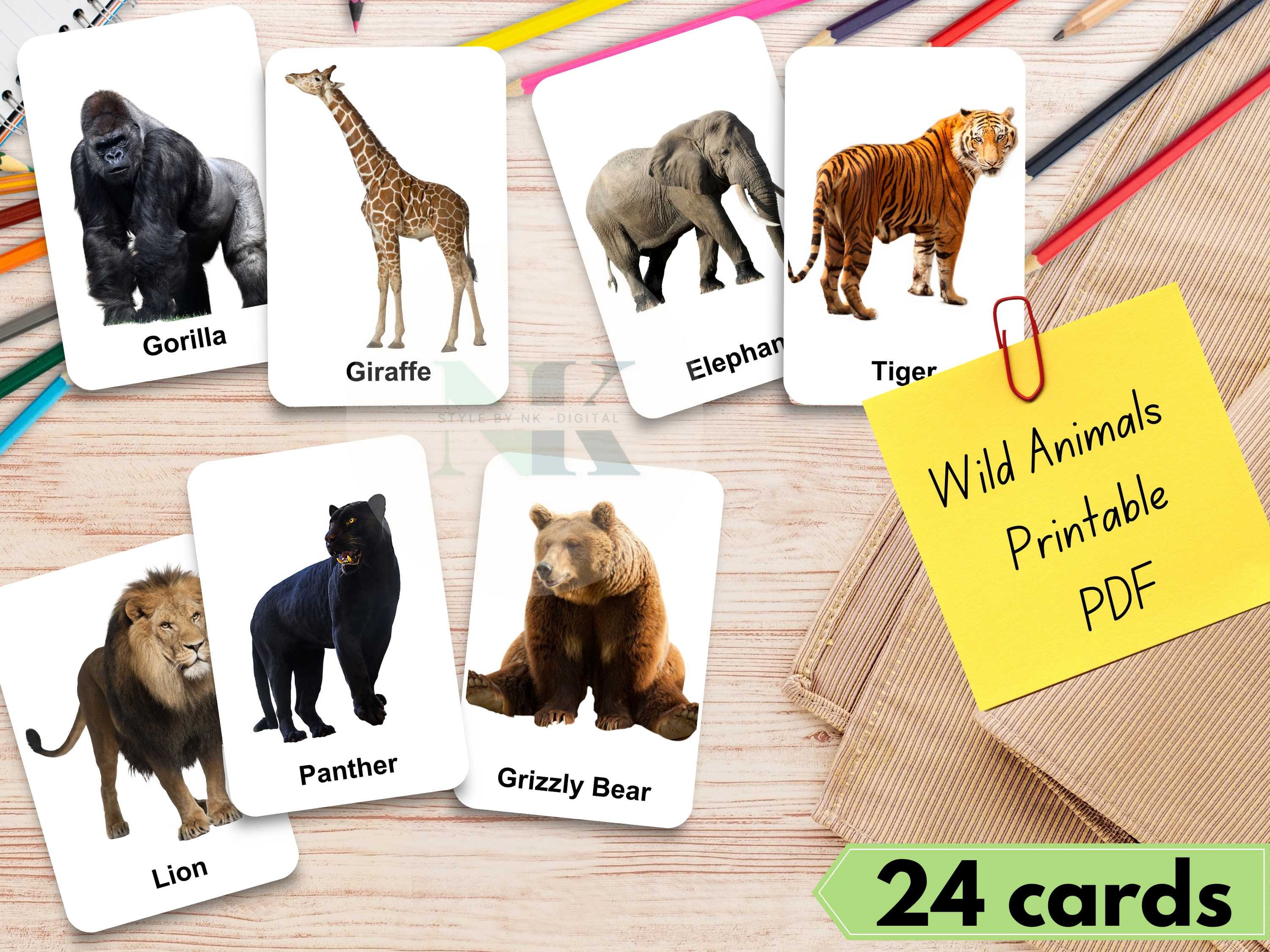 Wild Animals Flash Cards Educational Printable for Kids Learn Farm ...