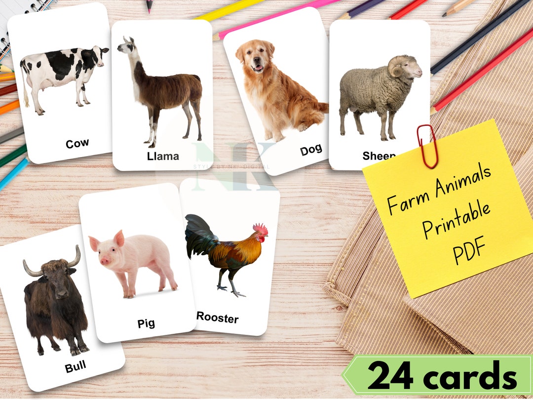 Farm Animal Flash Cards Educational Printable for Kids Learn Farm ...