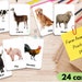 Farm Animal Flash Cards Educational Printable for Kids Learn Farm ...