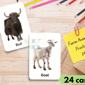 Farm Animal Flash Cards Educational Printable for Kids Learn Farm ...