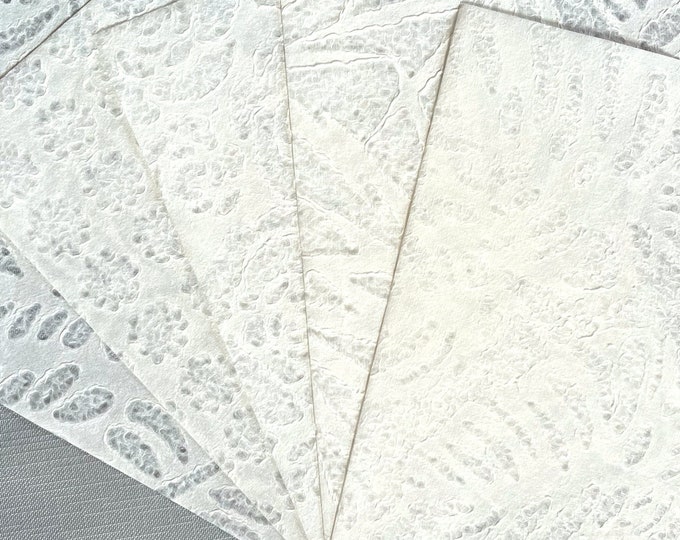 Mulberry Handmade Lace Paper 'patterns' COLLECTION Pack | 6 Designs ...