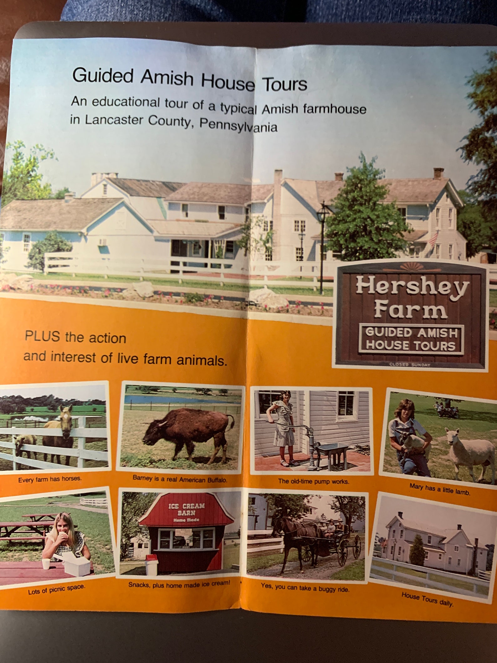 Hershey Farm Brochure, Guided Amish House Tours, Buggy Rides - Etsy