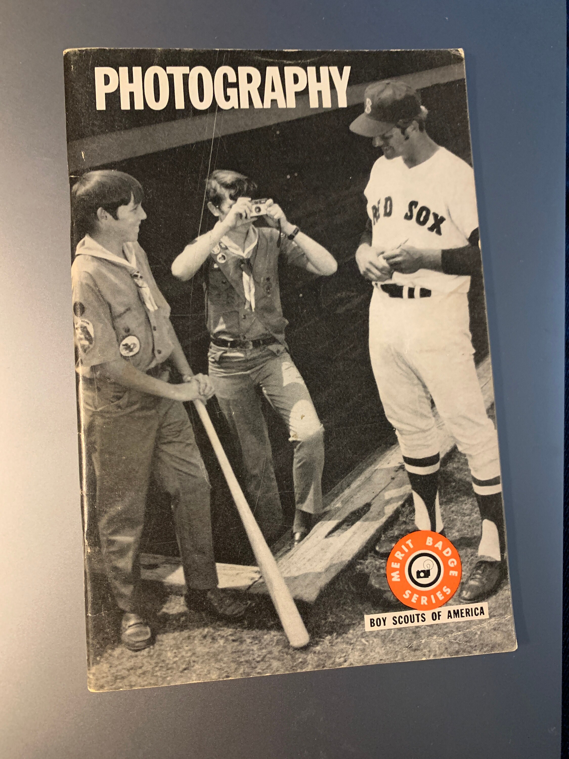 Merit Badge Poster - Etsy