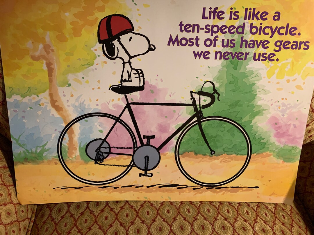 Peanuts Posters, Argus, Snoopy, Charlie Brown, Sally, Lucy, Linus - Etsy