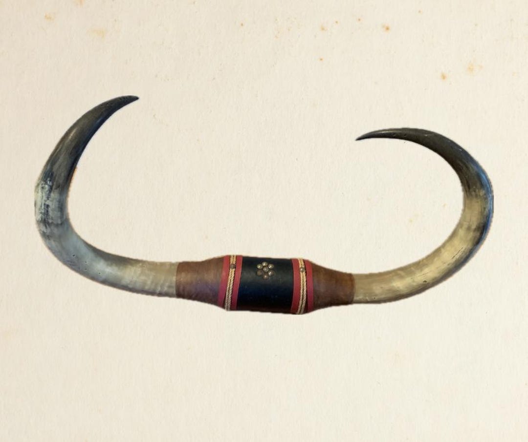 Vintage Mounted Bull Horns, Steer, Cow Horns, Hood Ornament, Hat Rack ...
