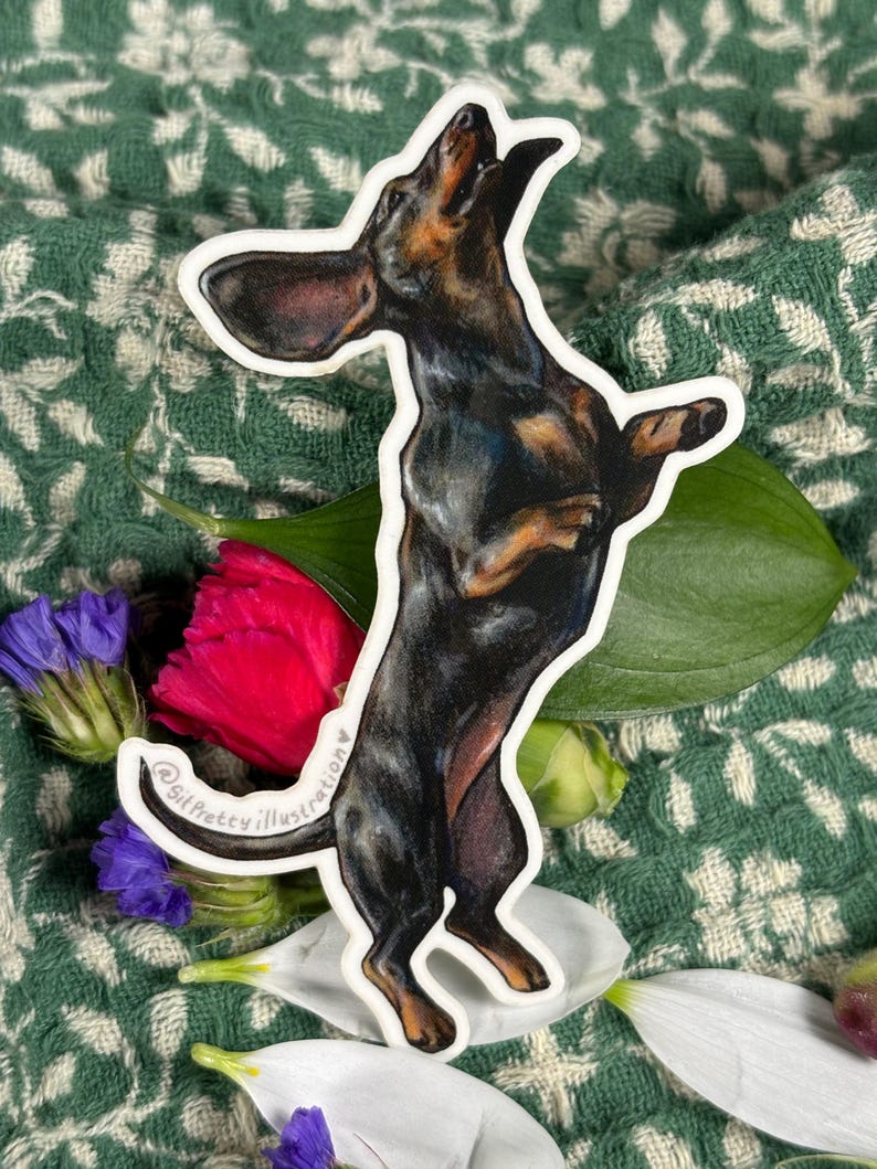 Sticker Collection Dachshunds - Etsy