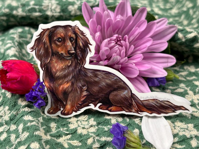 Sticker Collection Dachshunds - Etsy