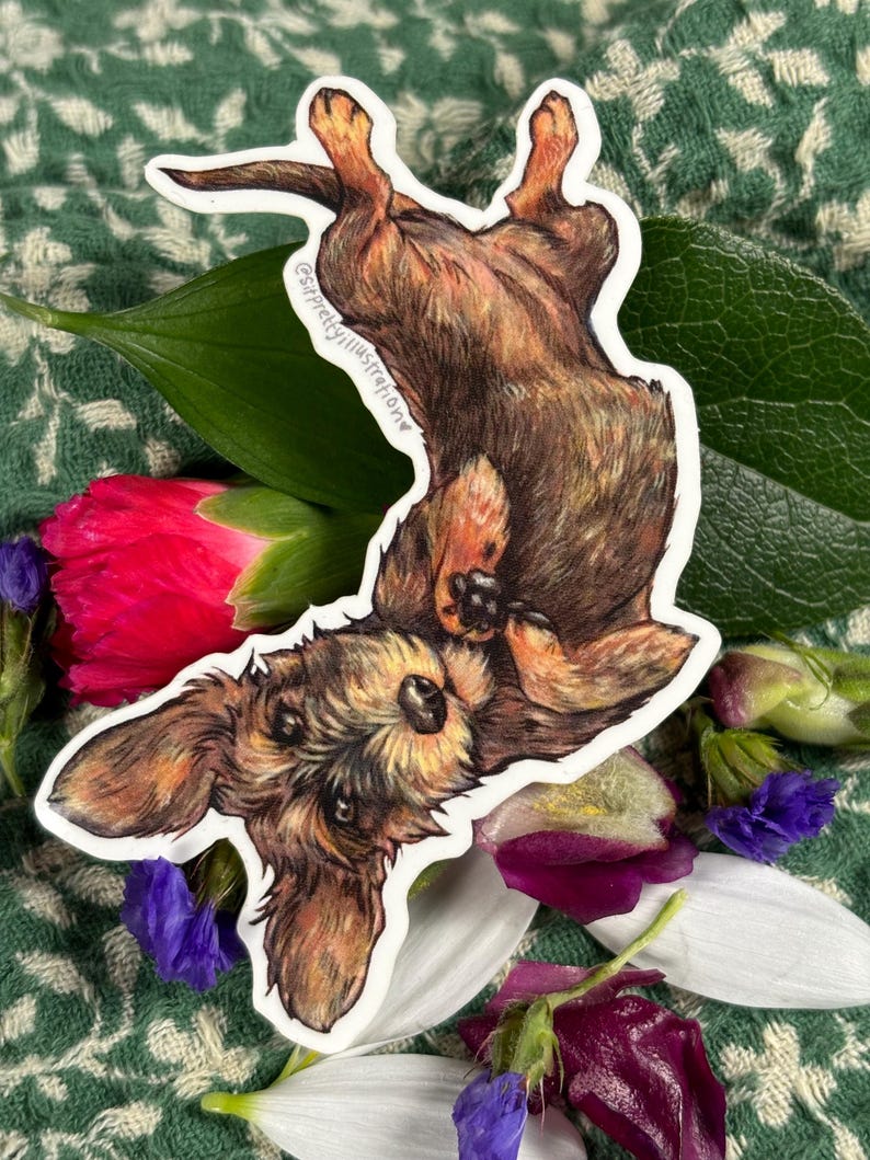 Sticker Collection Dachshunds - Etsy