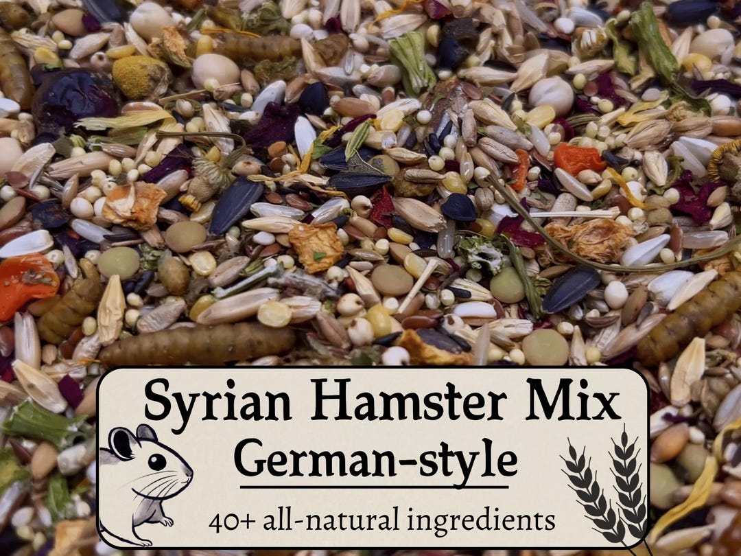 Syrian Hamster Forage Mix 1lb - German-style | 100% All-natural ...