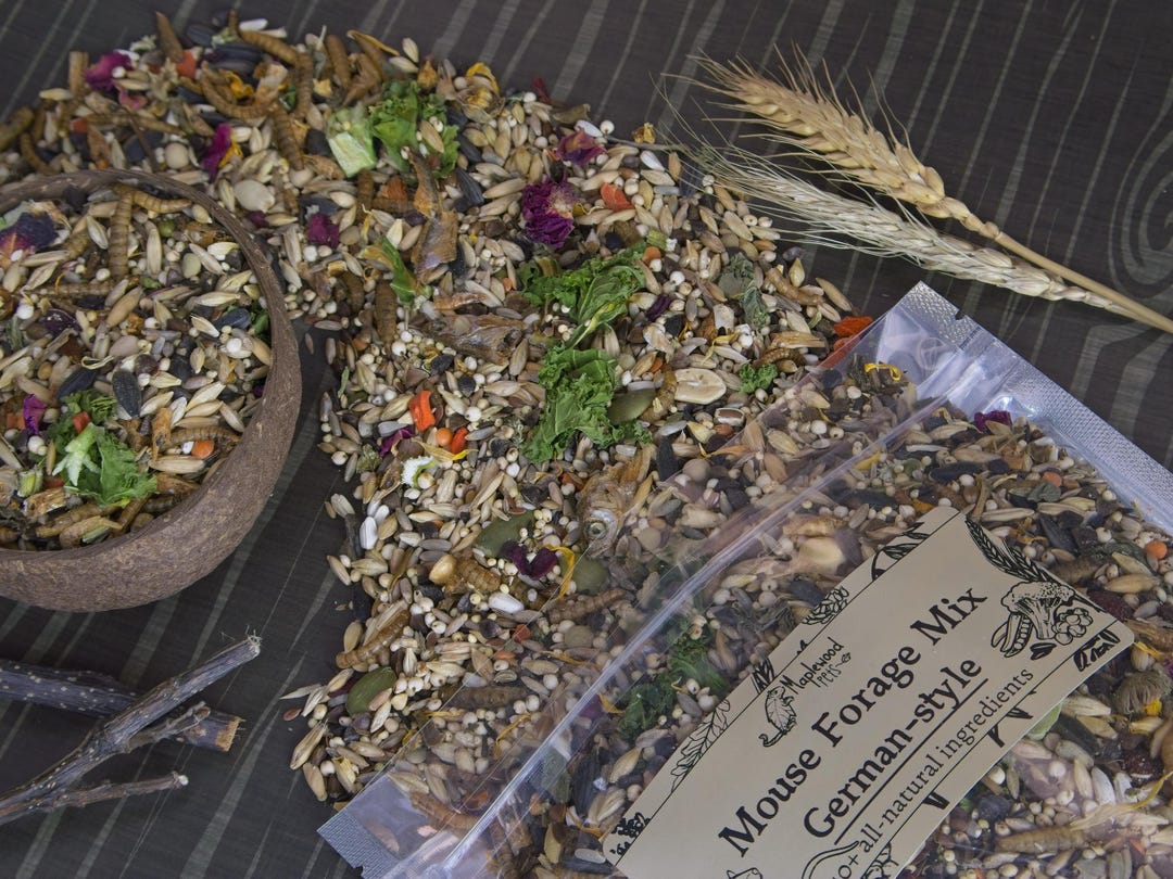 Mouse Forage Mix 1lb - German Style | 100% All-natural Ingredients - Etsy